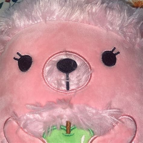 Squishmallows Toys Squishmallow Chloe The Pink Poodle Poshmark