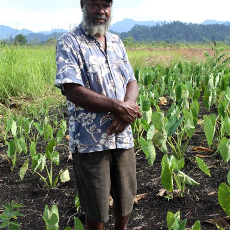 Living Income Reference Value Rural Papua New Guinea Global Living