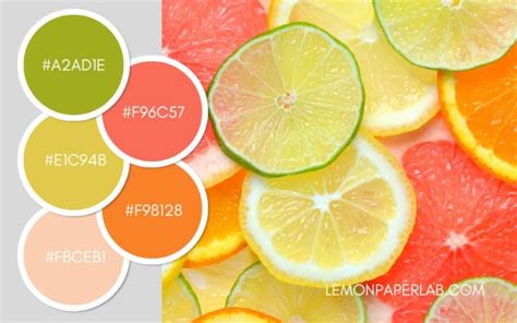 Chartreuse Green Color 93c83e Lemon Paper Lab