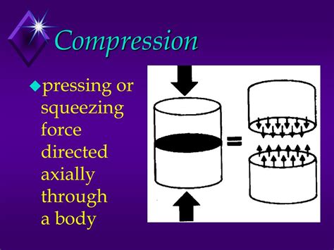Compression Definition Anatomy At Fred Grant Blog