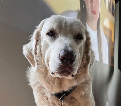 Elmar Vermittlungsportal Der Hilfe Für Hsh E V