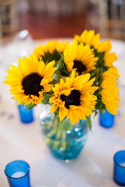 10 Inexpensive Flowers Youll Love