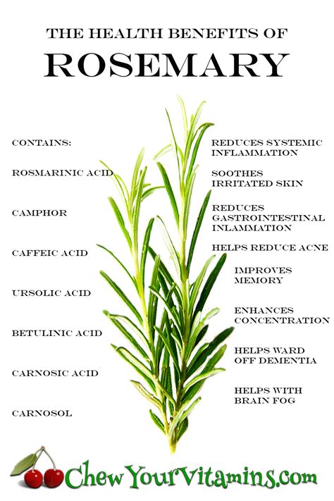 The Health Benefits Of Rosemary Rosemary Health Benefits Herbs For