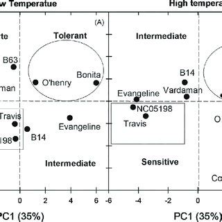Principal Component Analysis For The First Two Principal Component PC