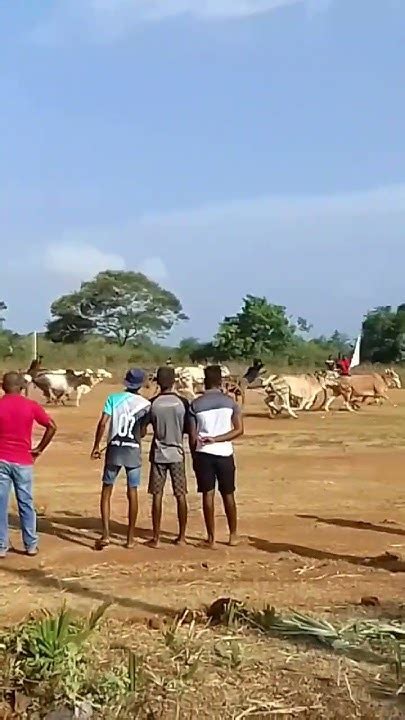 තිරික්කල් රේස් Youtube