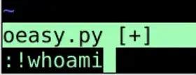 Oeasy Python Vim Python Overmind