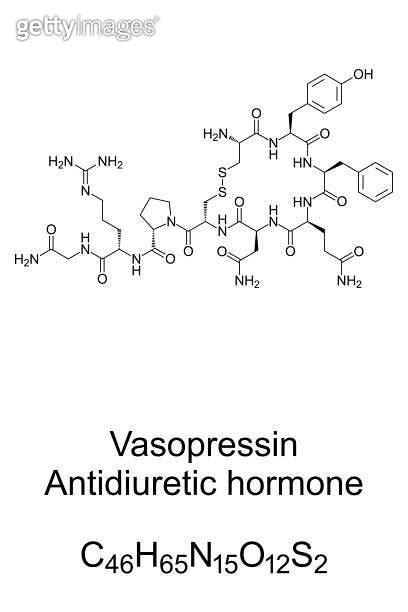 Vasopressin Antidiuretic Hormone Chemical Structure 이미지 1251371588