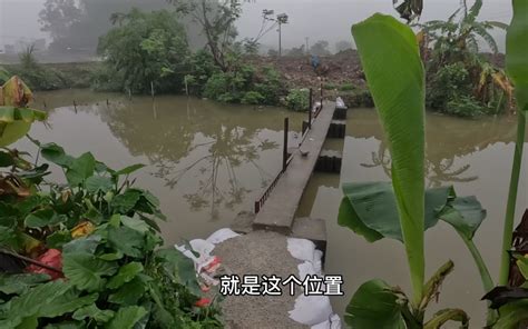 风骚的钓位离谱的鱼口让空军一个星期的我又硬气一回 哔哩哔哩