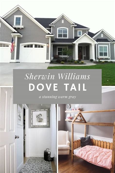Dovetail Sherwin Williams