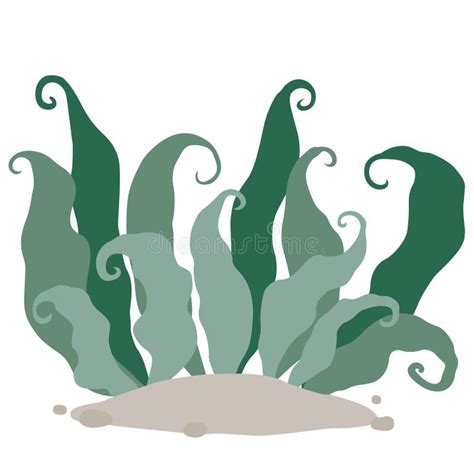 Abstract Seaweed Sea Grass And Coral Illustration For Decoration On