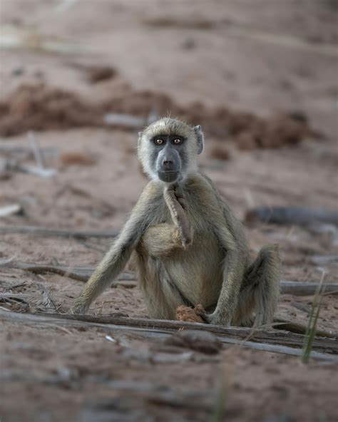 Chassis Ground Photos Download The Best Free Chassis Ground Stock