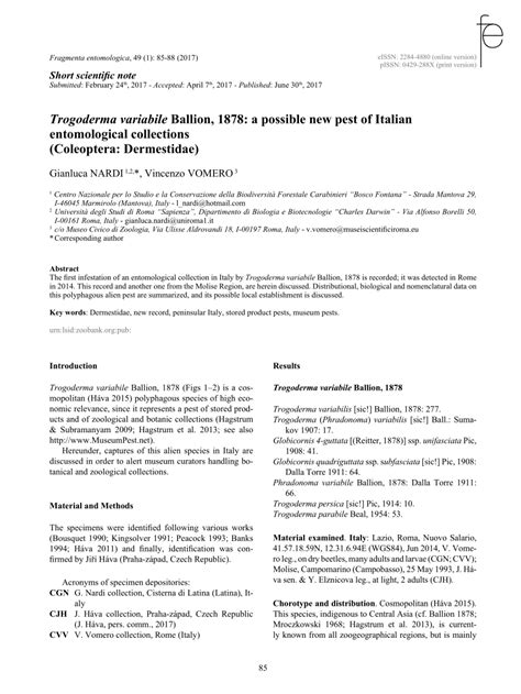 Pdf Trogoderma Variabile Ballion 1878 A Possible New Pest Of