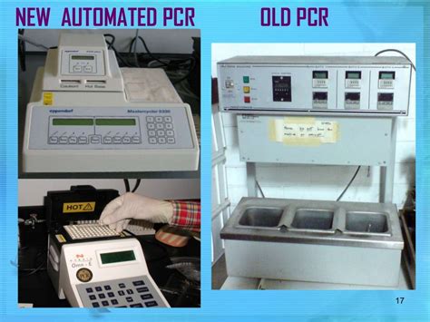 PCR And Its Types