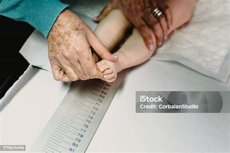 통치자의 도움으로 아기의 높이와 높이를 측정하는 소아과 의사의 클리닉에서 새로 태어났습니다 2명에 대한 스톡 사진 및 기타