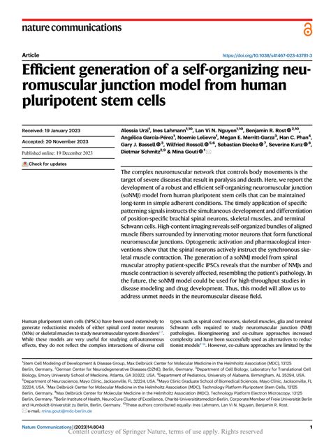 pdf efficient generation of a self organizing neuromuscular junction
