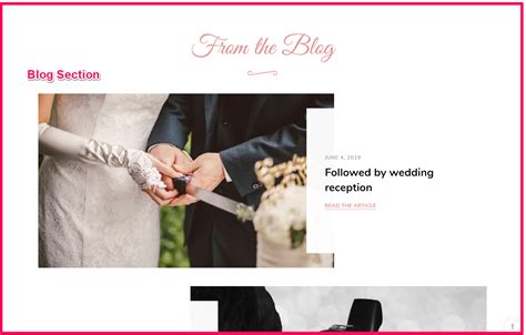 How To Configure Blog Section BlossomThemes