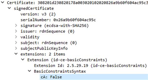 X509 Cafalse Testing Lightship Security