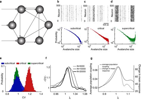 Irregular Spiking Emerges In A Recurrent Network Operating At The