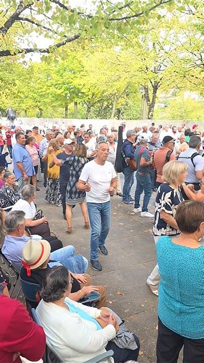 Shorts Concertinas Folclore Festa Youtube