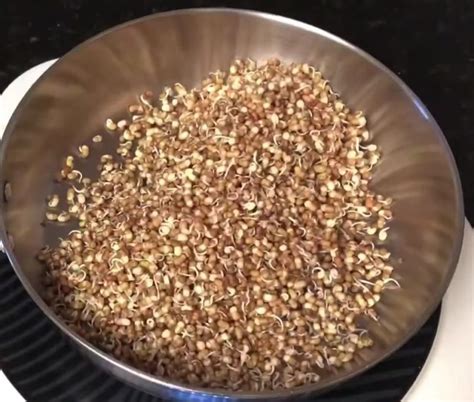 Moth Beans Currymadike Kalu Palya Akshatas Kitchen Easy Indian