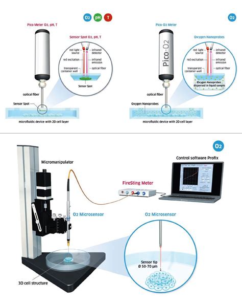 Pyroscience Gmbh On Linkedin Microphysiologicalsystems Oxygensensing Phsensing Organonchip…