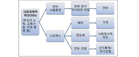 학습과학의 이해와 적용6 빈곤층 아동의 뇌는 부유층 아동의 뇌와 달라 특별한 지원이 필요하다 교육을바꾸는사람들