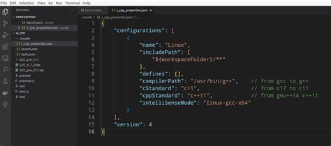Linux Ubuntu系统下使用VS Code配置C C 开发环境 BooTurbo 博客园