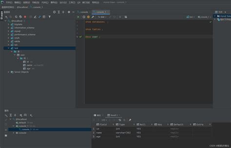 软件测试基础篇——javascript基础