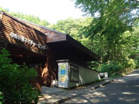 小鳥の森観光スポット 福島市観光ノート