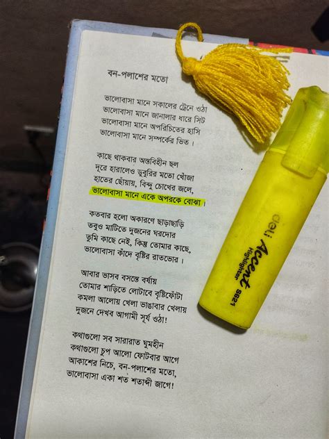 ভালোবাসা মানে একে অপরকে বোঝা কাঠগোলাপ আমার প্রেমিকা