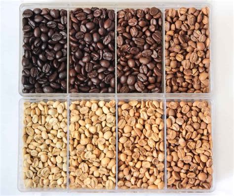 Best Light Roast Coffee Top Picks For A Refreshing Morning Cup Must