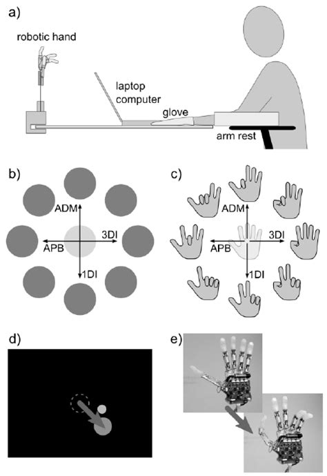 Layout Of The Experiment A Experimental Setup B Mapping Of Emg Download Scientific