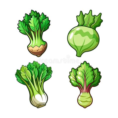 Mangel Wurzel Stock Illustrations 7 Mangel Wurzel Stock Illustrations