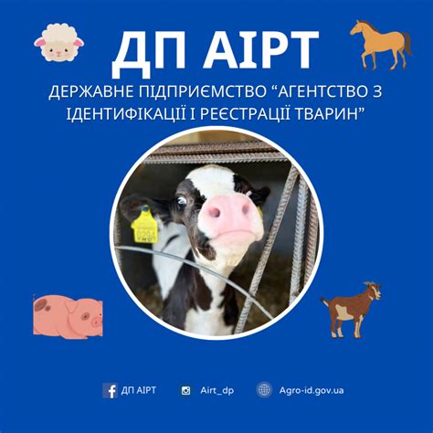 АІРТ Державне підприємство Агентство з ідентифікації і реєстрації тварин