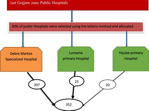 Schematic Presentation Of The Sampling Procedure Download Scientific