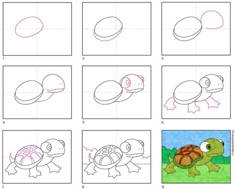 Easy How To Draw A Cartoon Turtle Tutorial