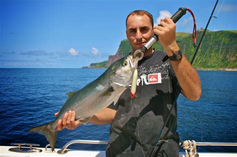 Robalos nas Ondas Memórias do Verão Pesca à superfície embarcada