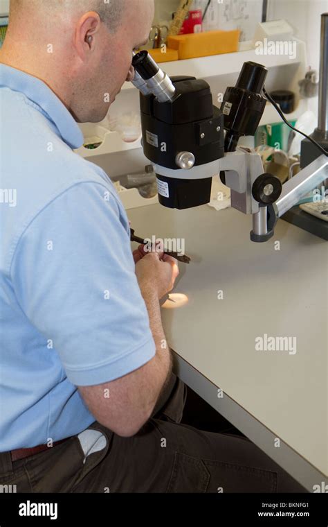 Expert En Criminalistique Laboratoire Balistique à Laide De Microscope