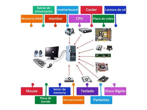 Computer Hardware Labelled Diagram