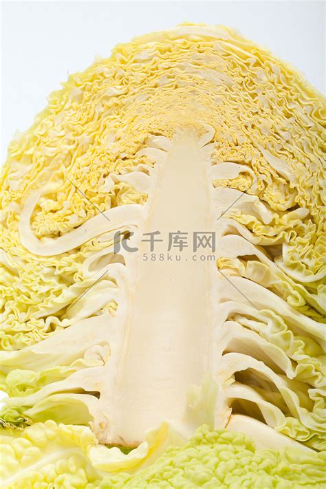 新鲜皱叶甘蓝高清摄影大图 千库网