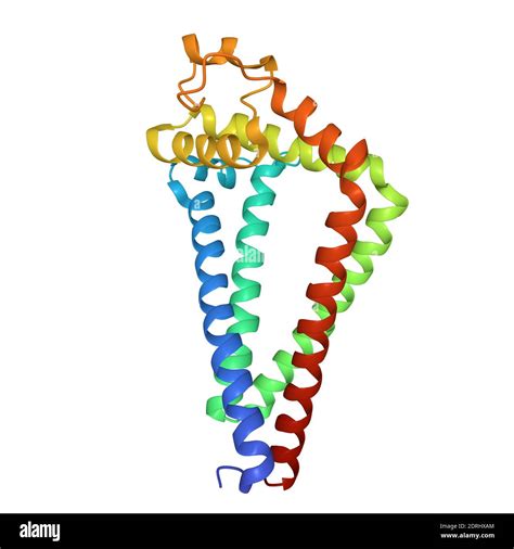 3d Protein Structure Modeling