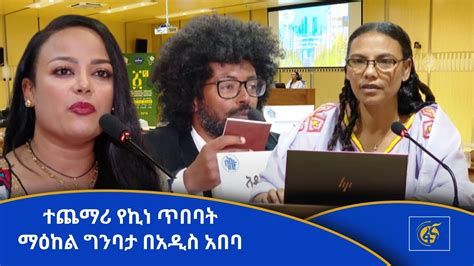 ተጨማሪ የኪነ ጥበባት ማዕከል ግንባታ በአዲስ አበባ Youtube