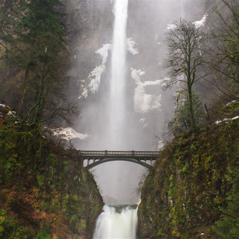 Multnomah Falls Wahkeena Falls Loop Hike — Pines And Vines — Pines