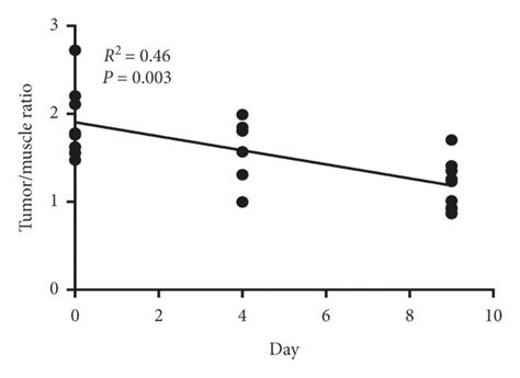 Measurement Of The Glucose Metabolism Quantitative Analysis