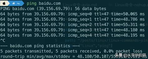 调整ping数据包大小linux命令 Ping Csdn博客