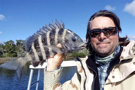 How To Catch Sheepshead Best Bait Rigs And Seasonal Tips In The Spread