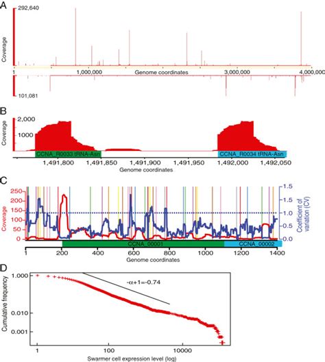 Rna Seq Mapping Results A A Birds Eye View Of Global Rna Seq Download Scientific Diagram