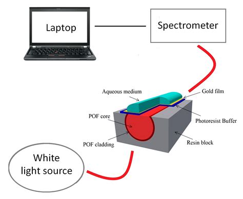 Biosensors Free Full Text Optical Biosensors And Their Applications For The Detection Of