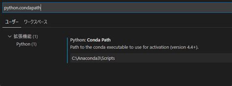 Visual Studio Code オススメ拡張機能 設定 Pythonエンジニア向け