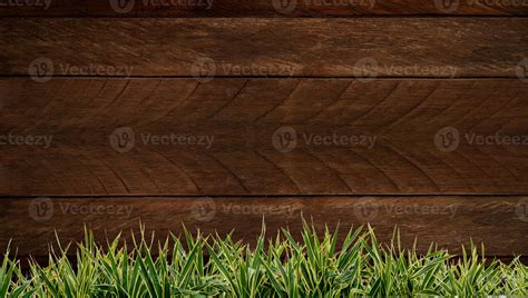 Fresh Spring Green Grass And Leaf Plant Over Wood Fence Background
